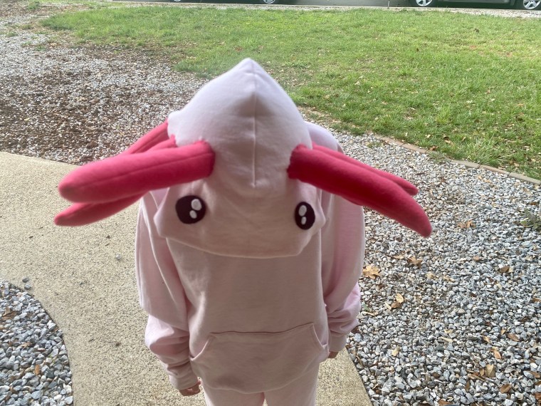 DIY Axolotl Halloween Costume – kerricreates